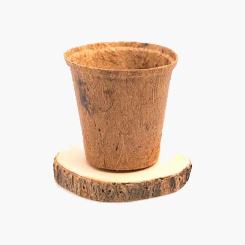Coco Cups – Coco Supplies